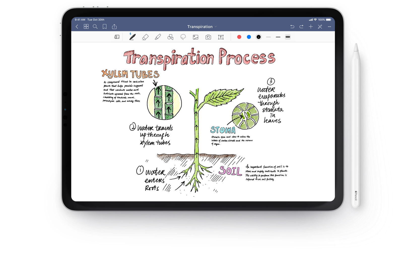 GoodNotes, la mejor aplicación para tomar notas a mano - Hablemos de Apple
